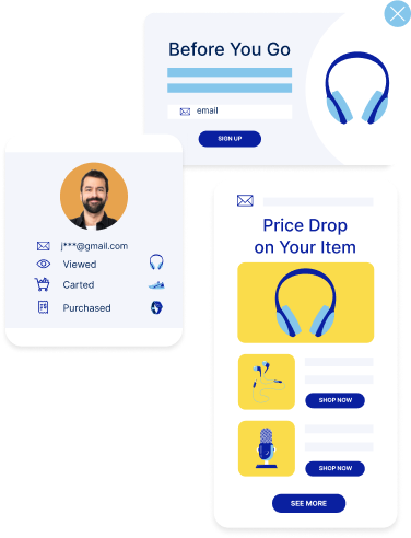 Identify & Convert Shoppers for Campaign Personalization | Bluecore